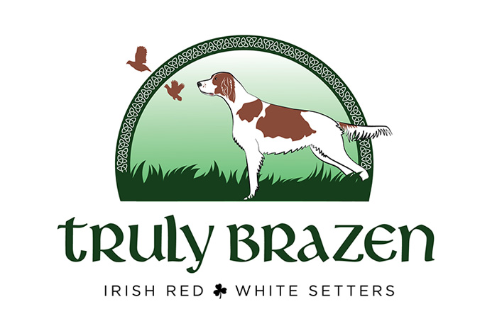 Truly Brazen Irish Red and White Setters – Logo Design